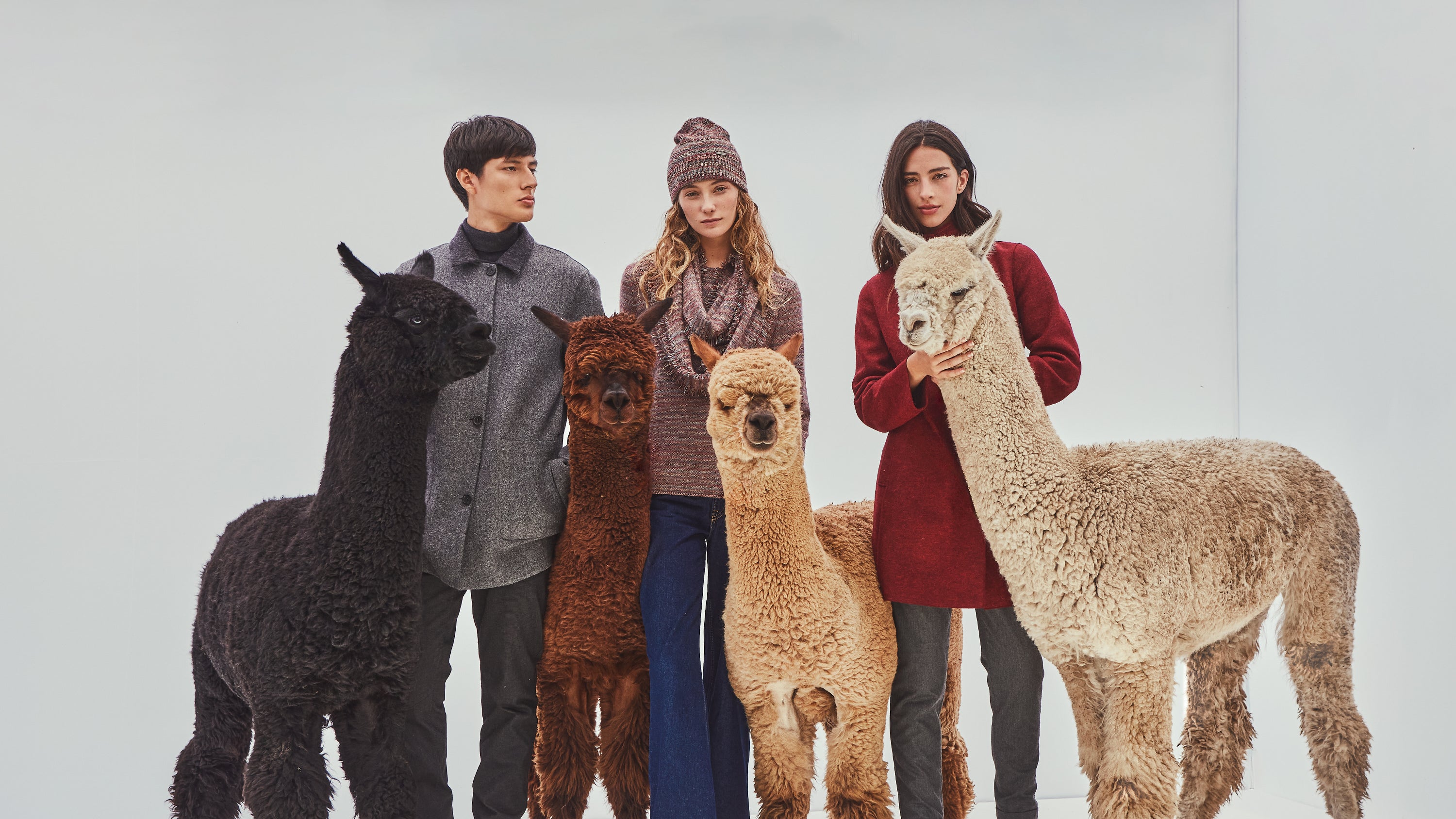 Kuna - Prendas y accesorios de lujo de Baby Alpaca y Vicuña